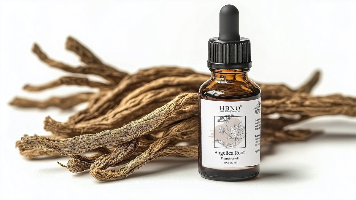Angelica Root Fragrance - Heavenly Aroma for Your Products – HBNO Bulk