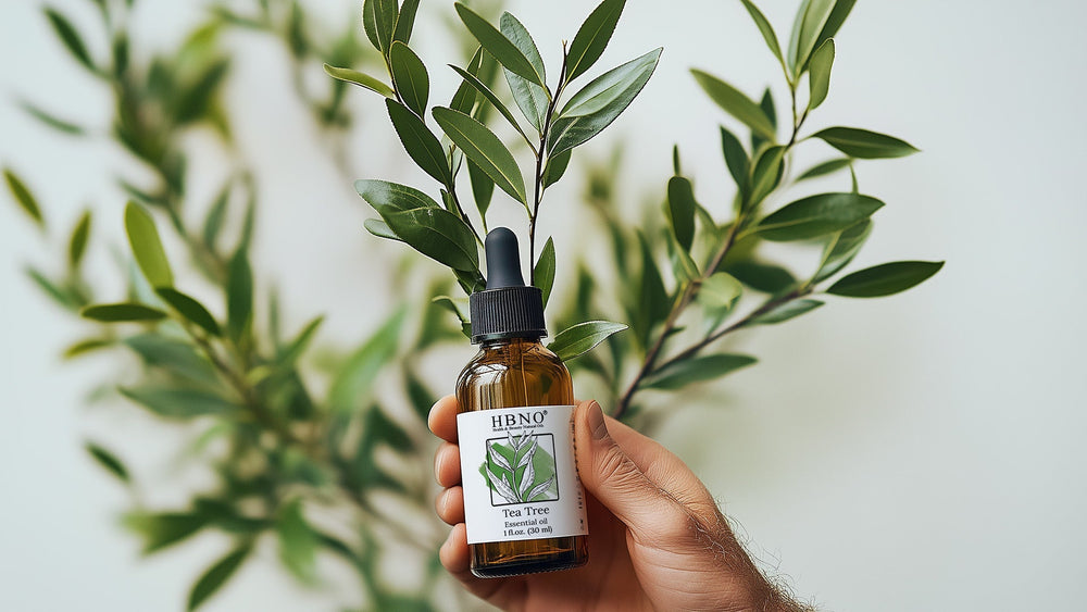 Is Tea Tree Oil Safe to Drink? What to Know – HBNO Bulk