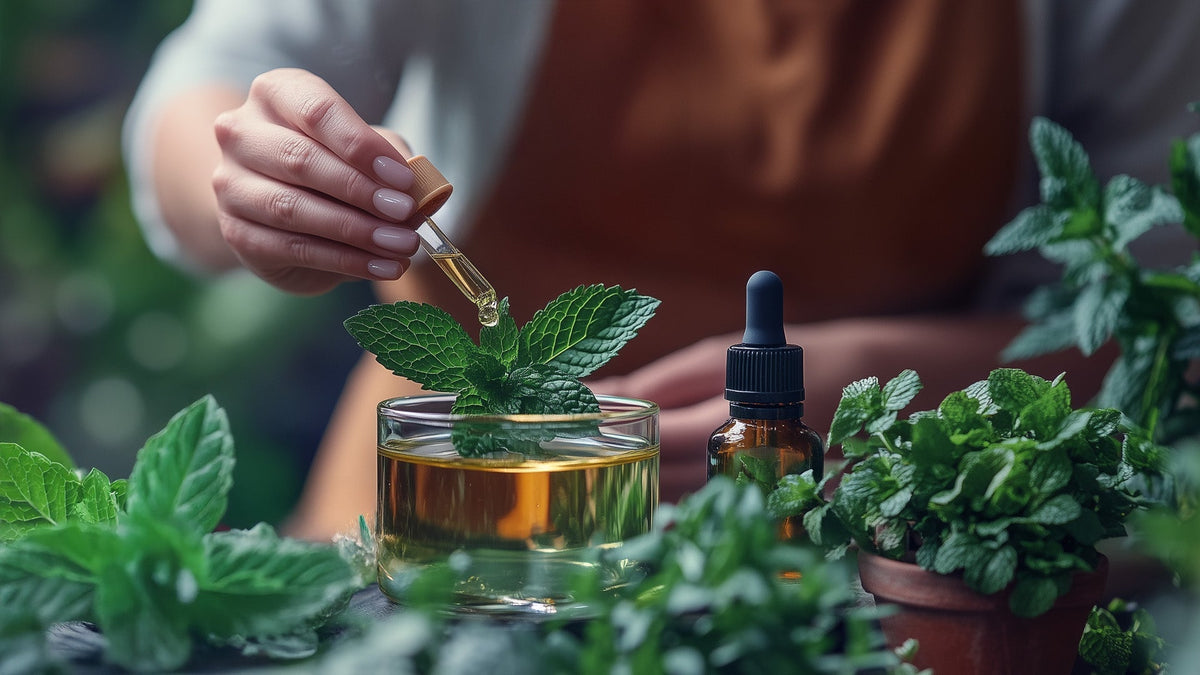 Japanese Peppermint Oil vs Regular Peppermint Oil – HBNO Bulk