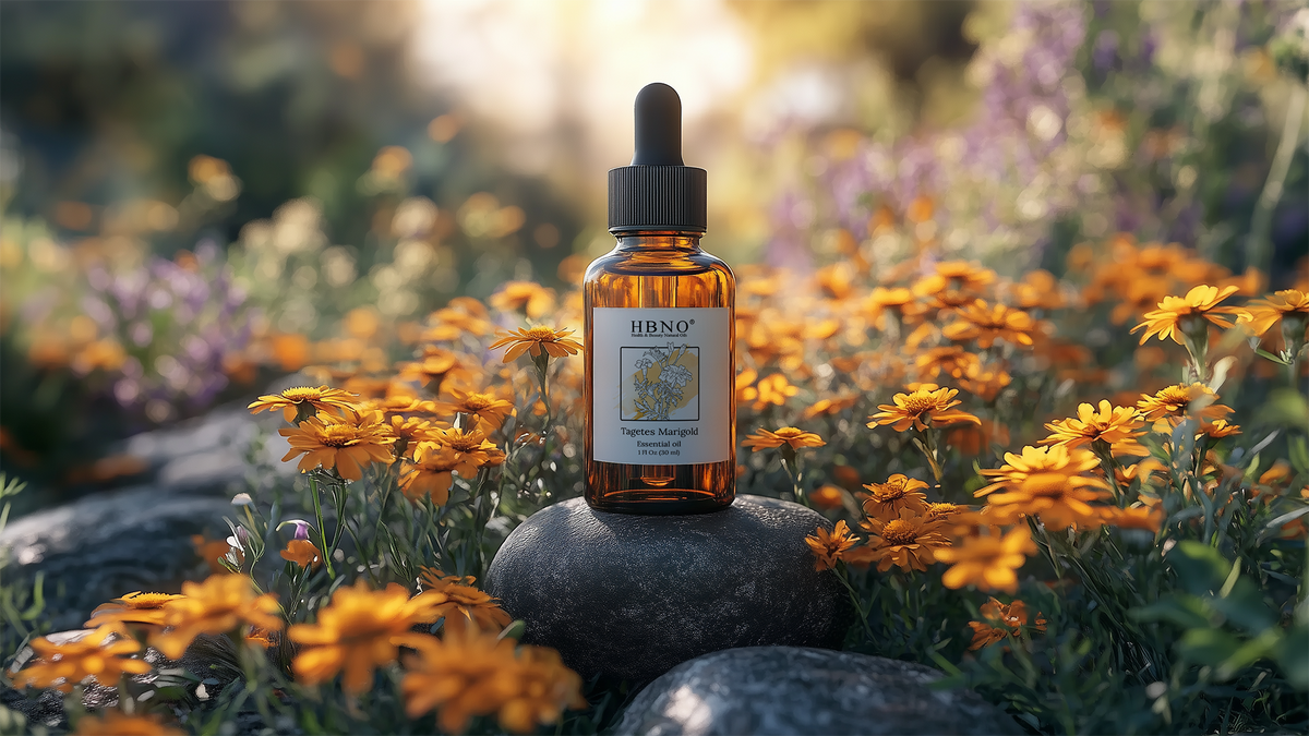 Marigold Oil Benefits: Skincare, Healing, and Wellness – HBNO Bulk