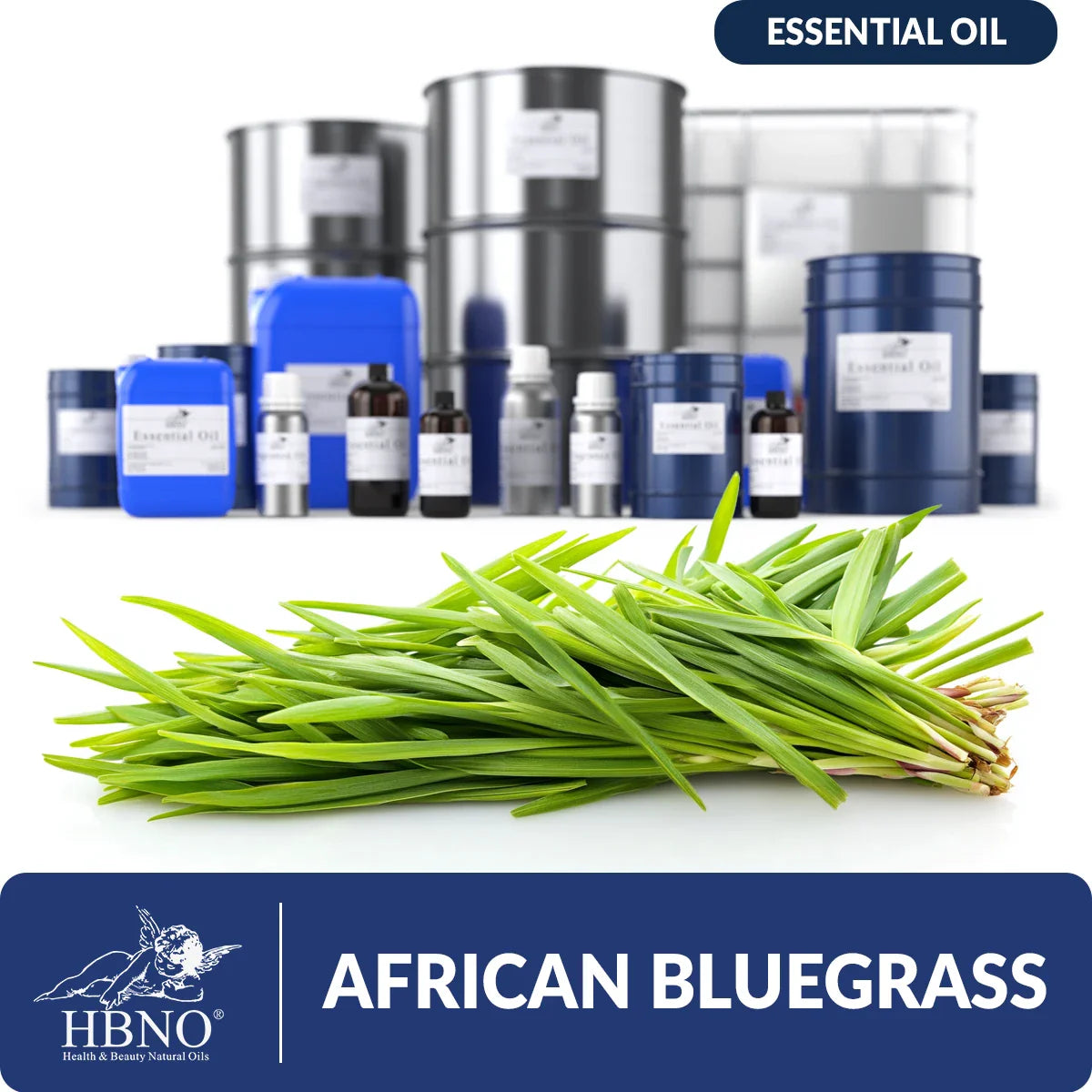African Bluegrass Essential Oil Wholesale | Bulk Supplier – HBNO Bulk