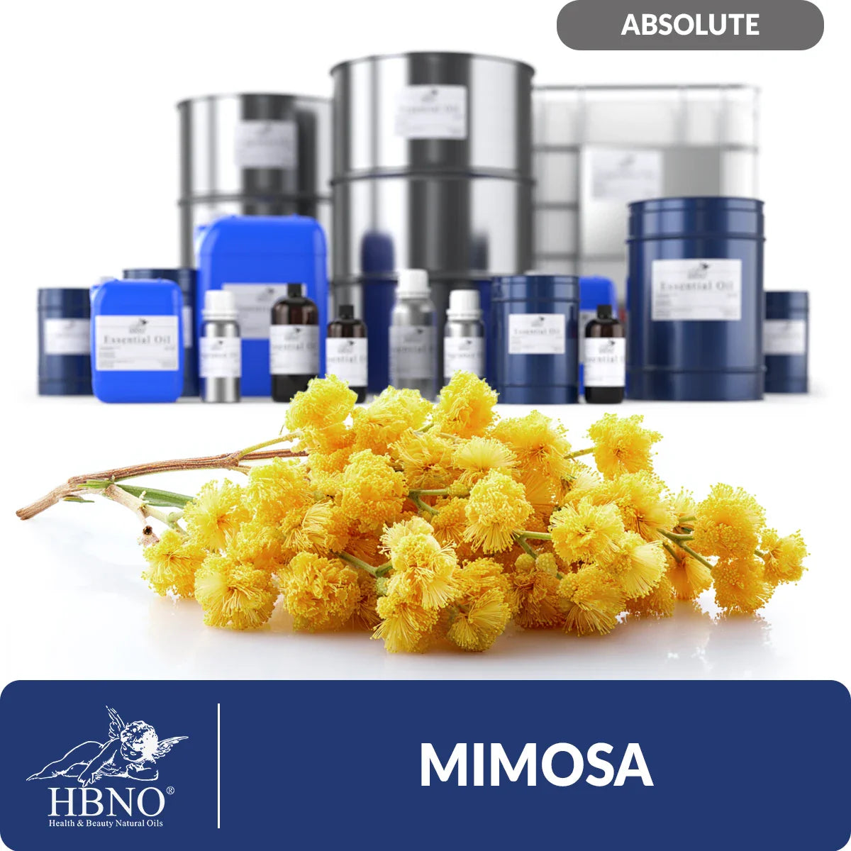 Mimosa Absolute Wholesale | Bulk Manufacturer – HBNO Bulk