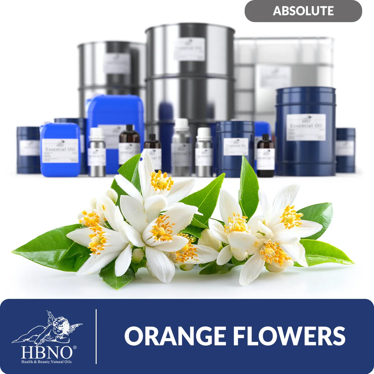 Orange Flower Absolute Wholesale | Bulk Supplier – HBNO Bulk